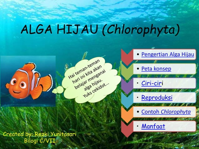 PPT Chlorophyta (alga hijau) | PPTX