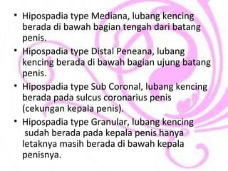 Ppt hipospadia | PPT