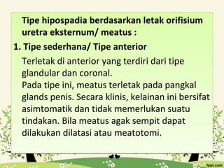 Ppt hipospadia | PPT