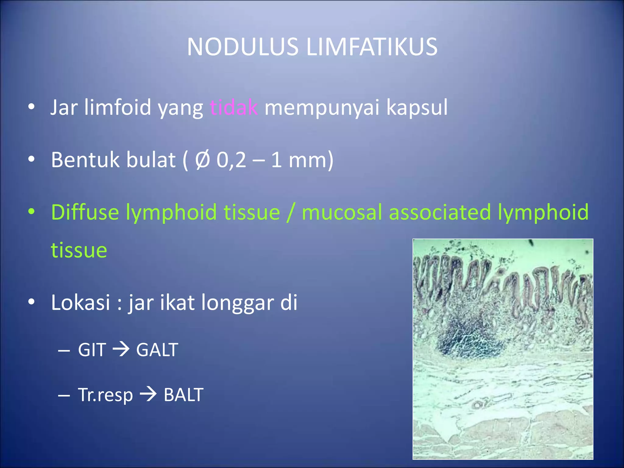 PPT histology sistem limfatik.ppt