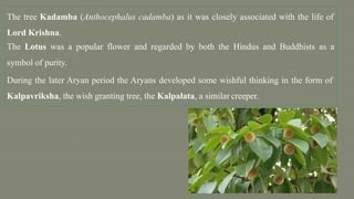 History of gardening in India | PPTX