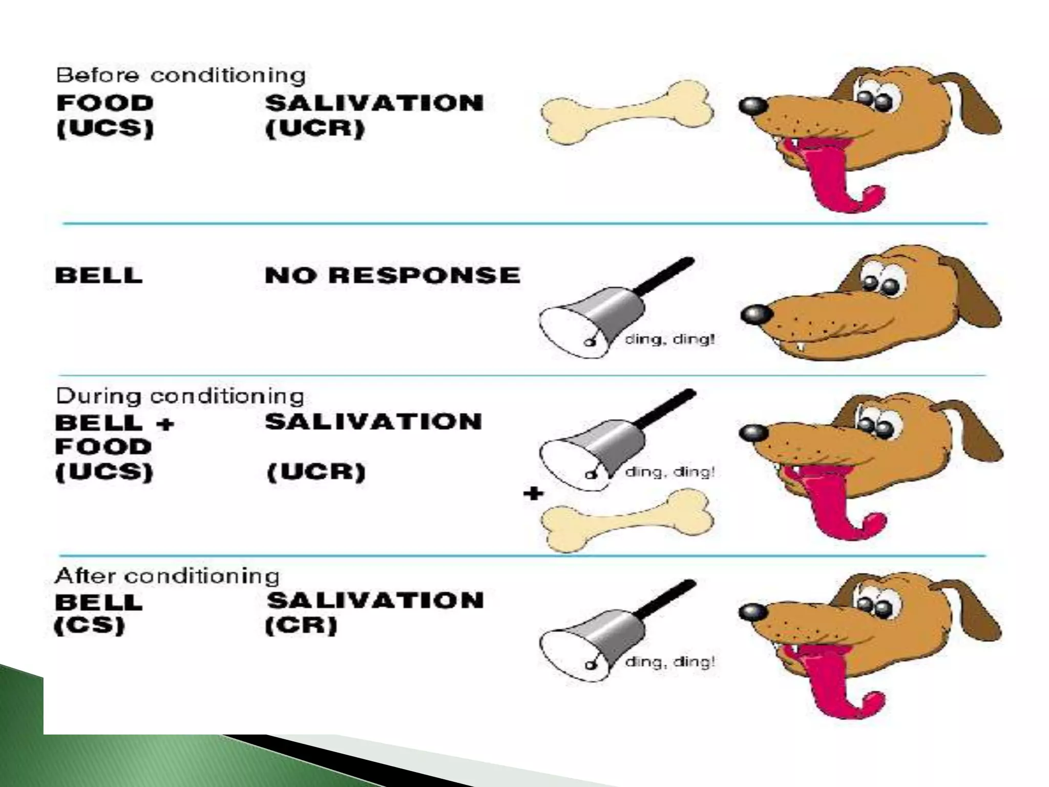 History of Psychology | PPT