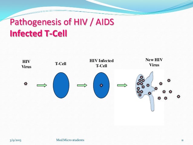 Ppt hiv