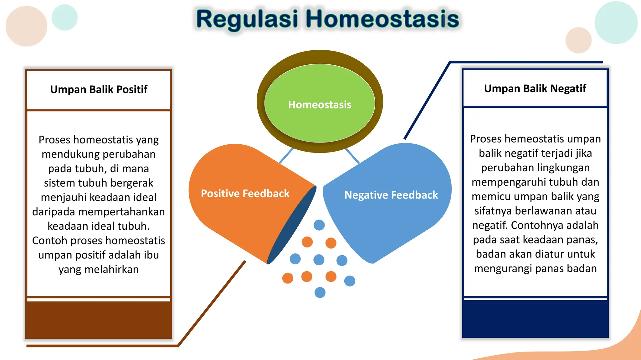 Power Point Mekanisme Homeostasis Hewan | PDF