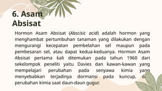 PPT Hormon Pertumbuhan Tanaman dan Jenis Jenisnya.pptx