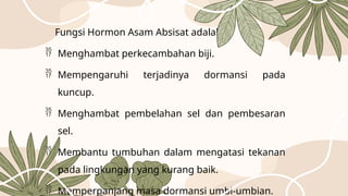 PPT Hormon Pertumbuhan Tanaman dan Jenis Jenisnya.pptx