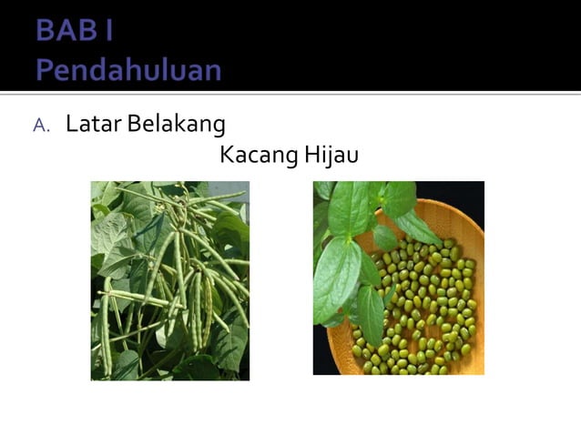 Ppt husnul | PPT