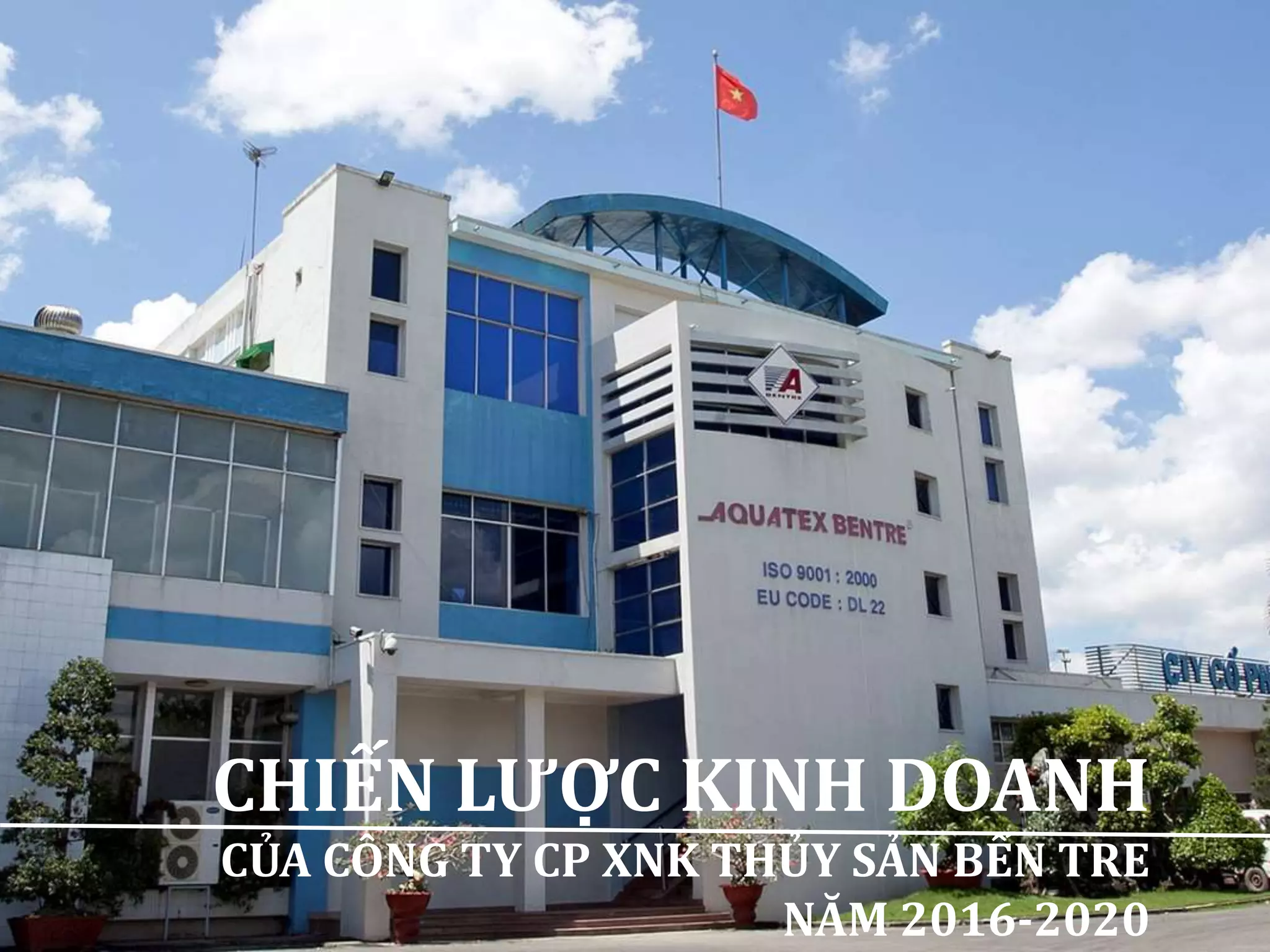 Chiến lược kinh doanh Cty CP XNK Thủy sản Bến Tre 2016-2020 | PPTX