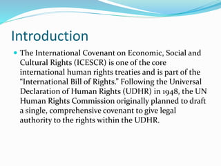 PPT ICESCR.pptx