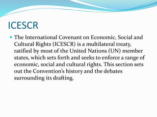 PPT ICESCR.pptx