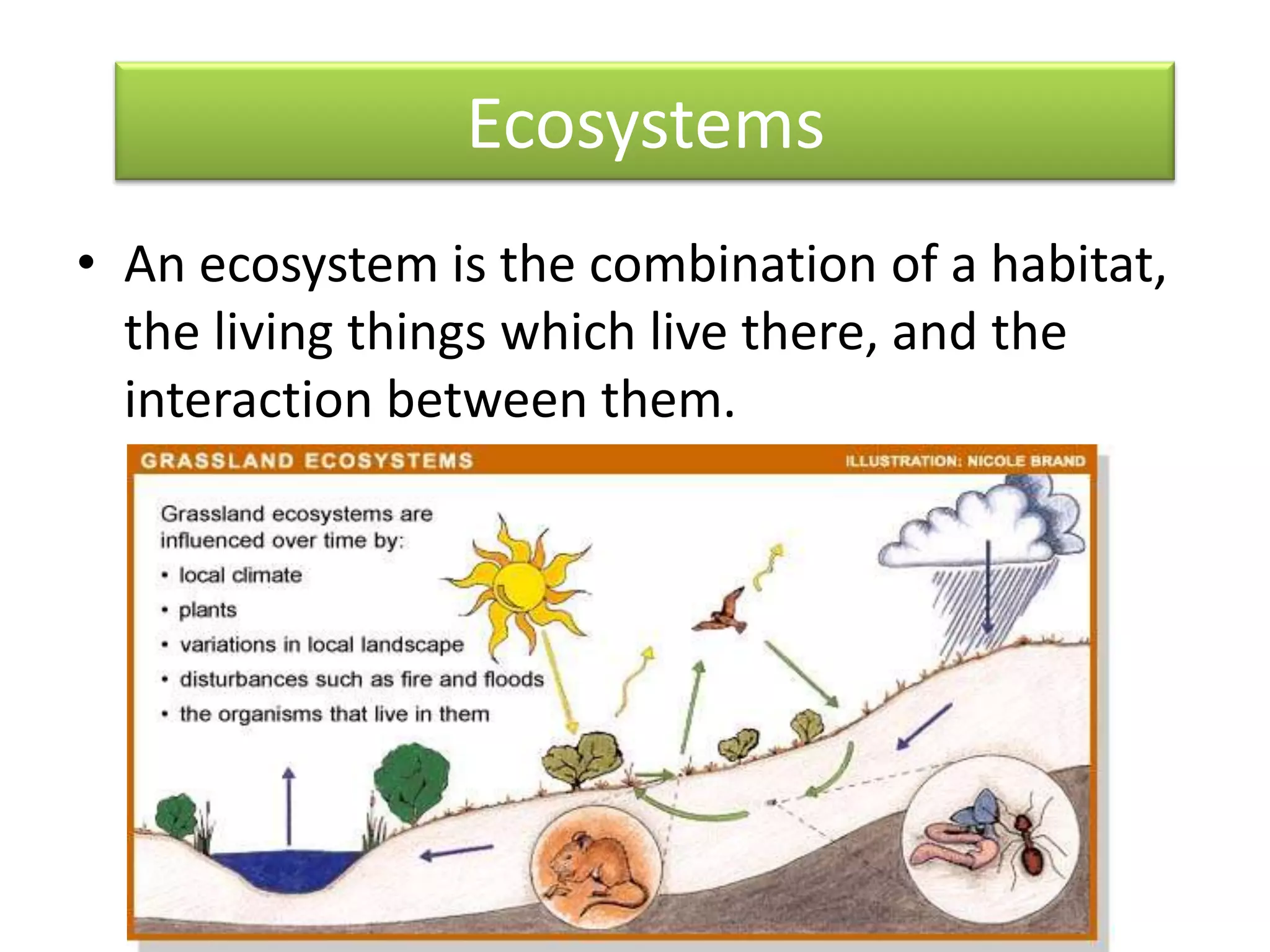 Ppt ict ecosystems | PPT