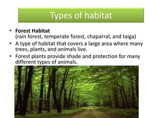 Ppt ict ecosystems | PPTX