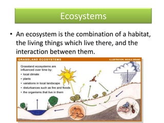 Ppt ict ecosystems | PPTX