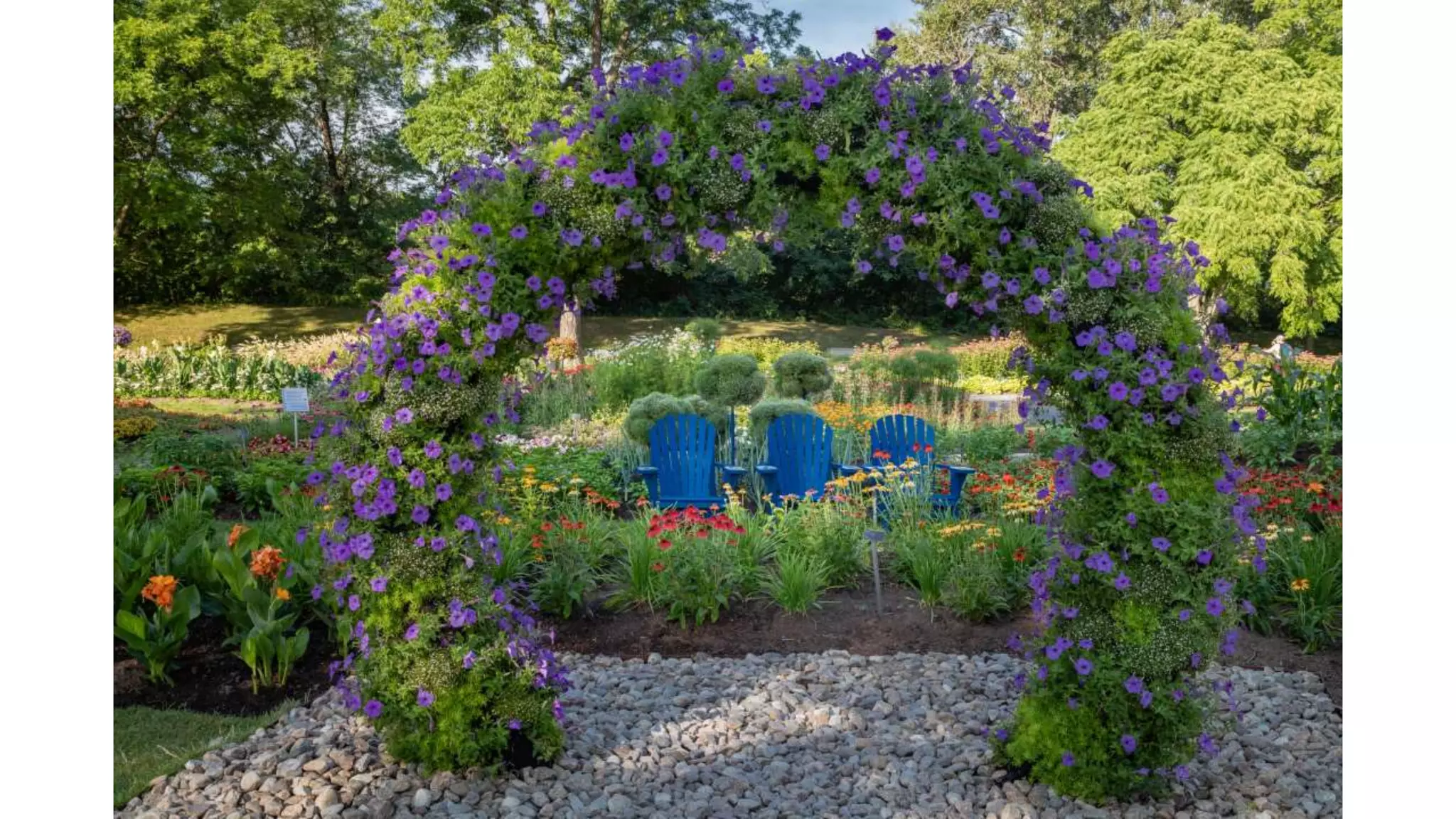 2020 AAS Landscape Design Challenge ideas | PPTX