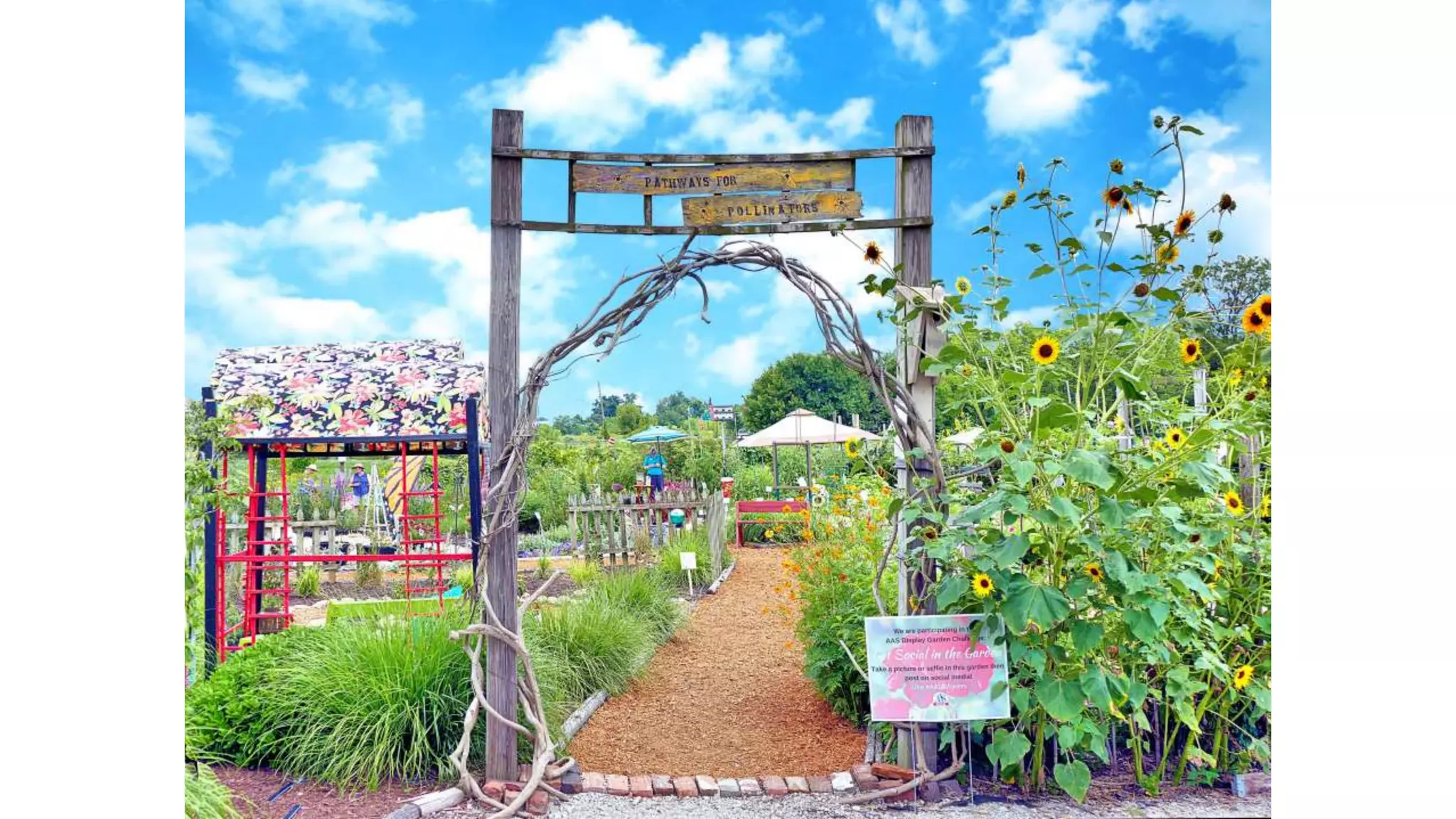 2020 AAS Landscape Design Challenge ideas | PPT