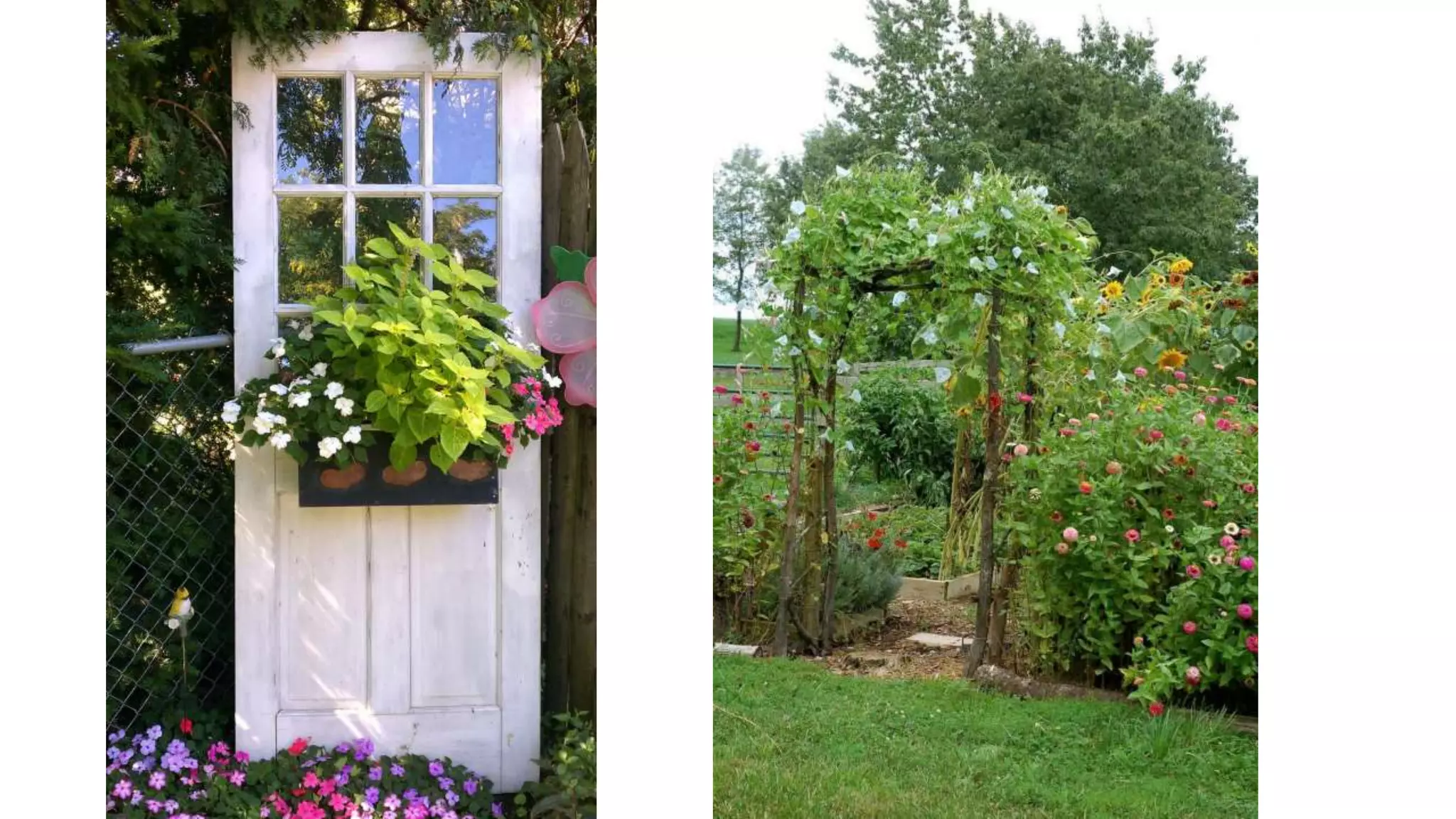 2020 AAS Landscape Design Challenge ideas | PPTX