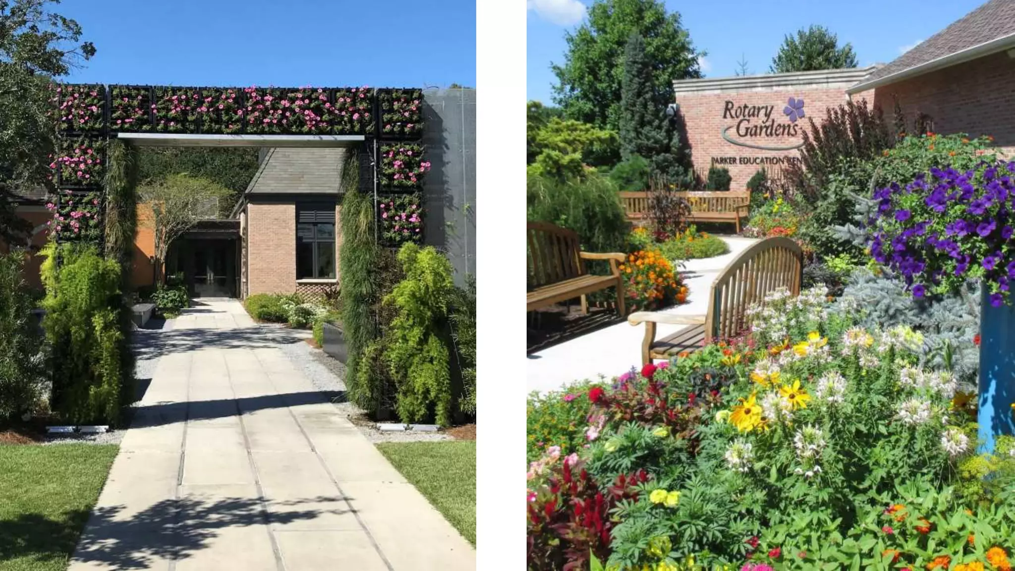 2020 AAS Landscape Design Challenge ideas | PPT