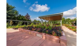 2020 AAS Landscape Design Challenge ideas | PPT