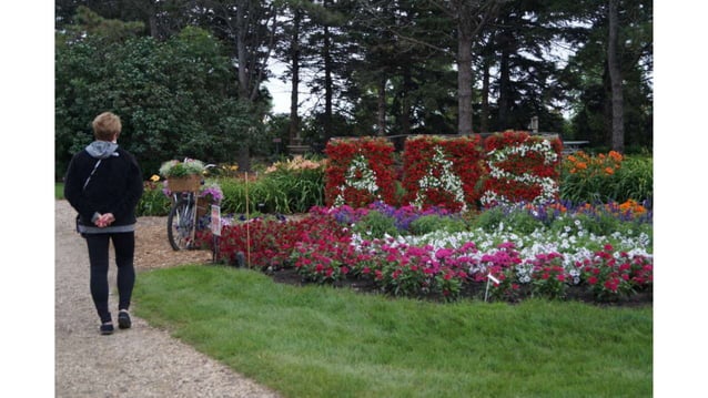 2020 AAS Landscape Design Challenge ideas | PPTX