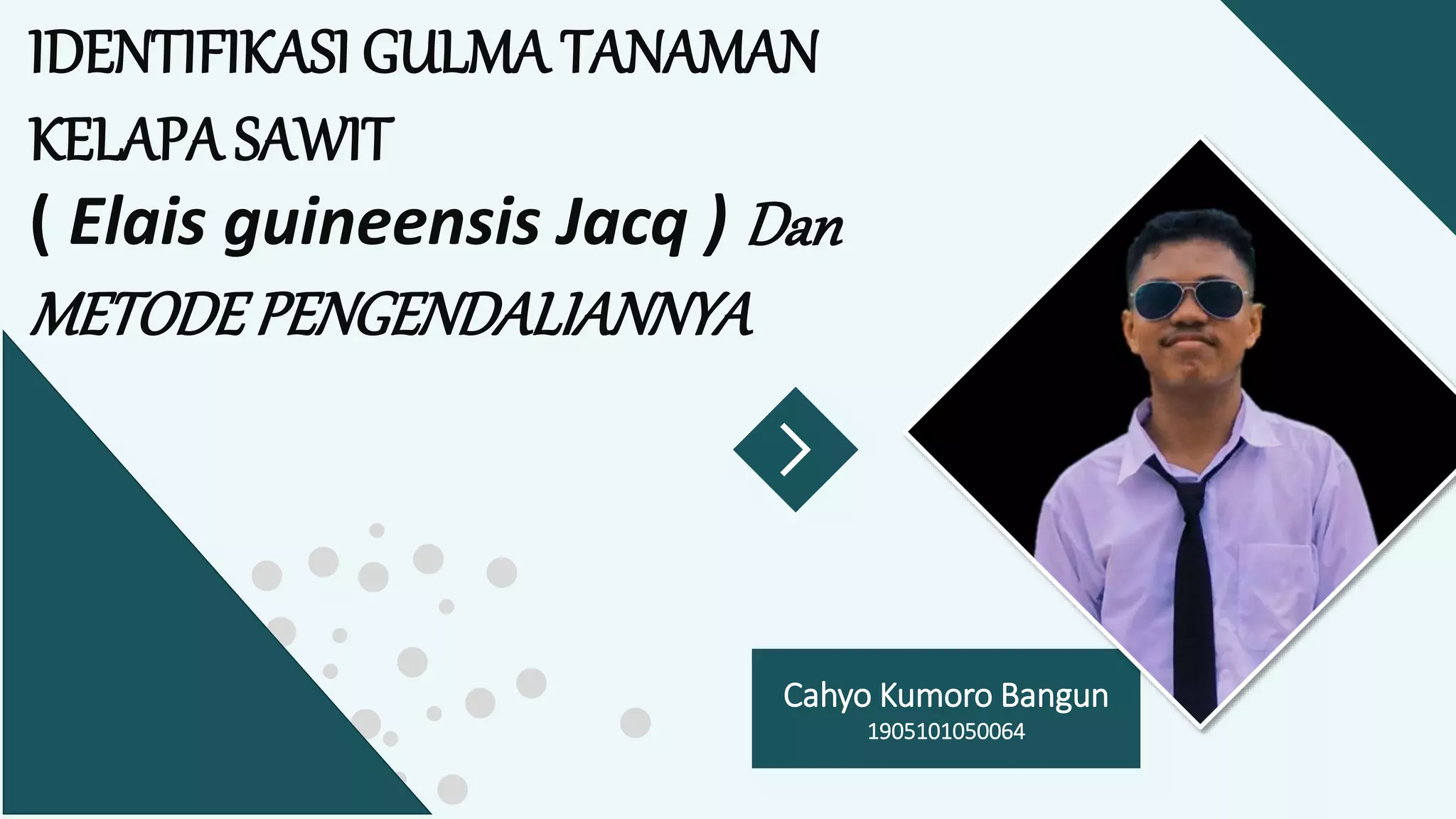 PPT IDENTIFIKASI GULMA PADA TANAMAN SAWIT.pptx