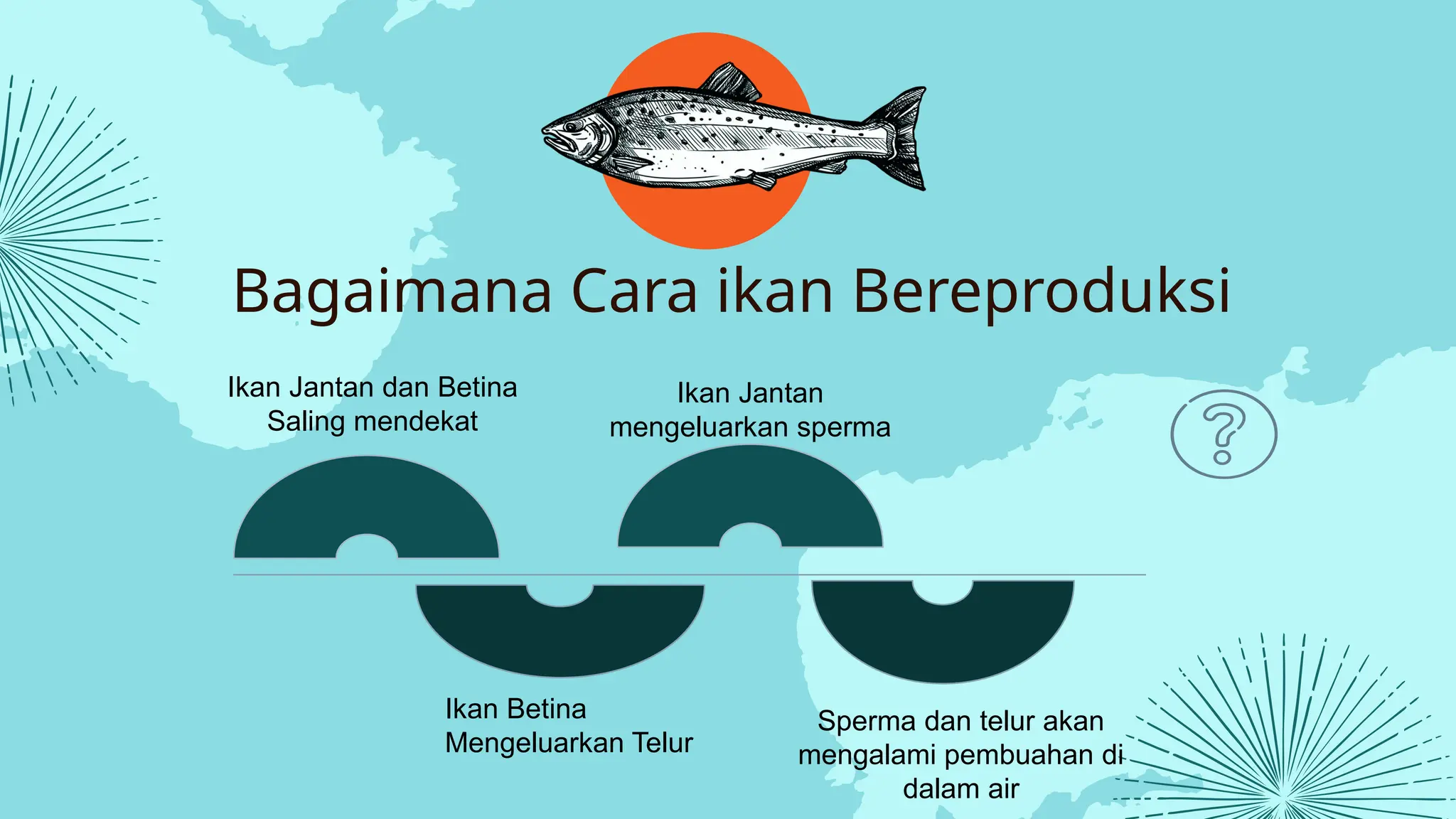 ppt iktiologi kelompok 2 Hubungan panjang berat dan reproduksi.pptx