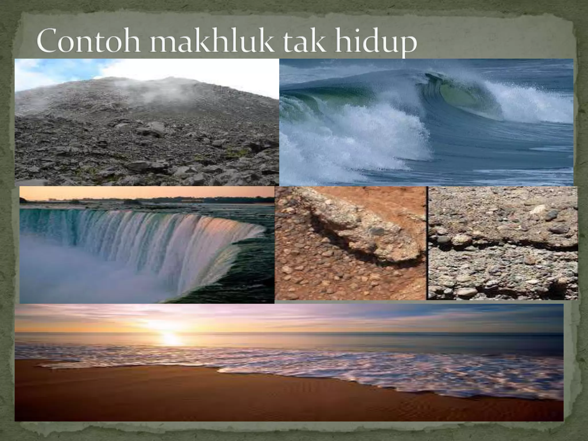 Ppt ilmu pengetahuan alam (ipa) kelas 3 sdn wirosaban, yogyakarta | PPTX