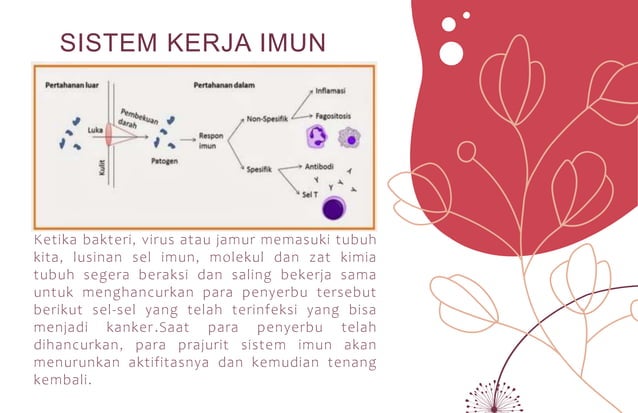 PPT Imunologi.pptx