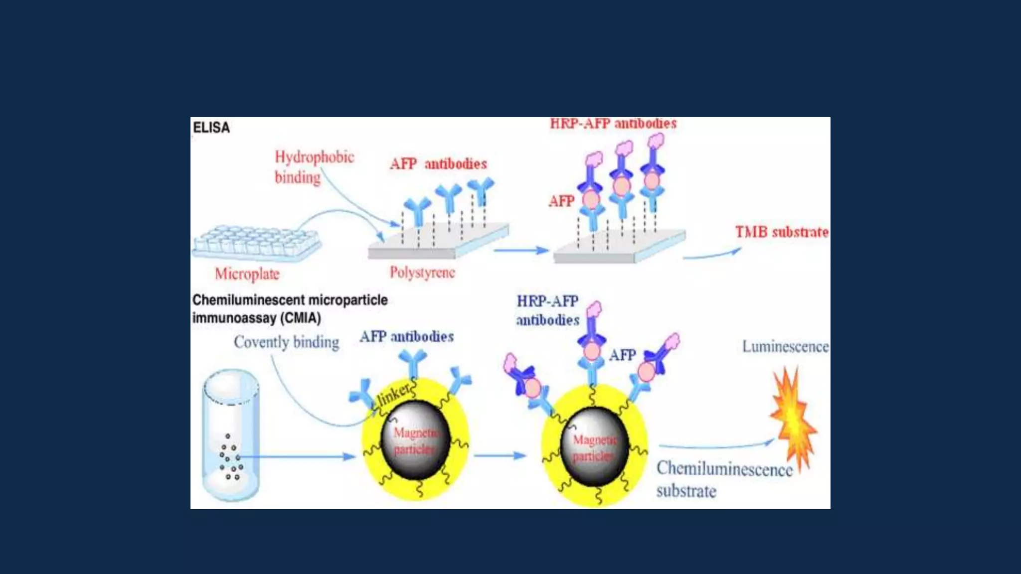 PPT Imunologi CMIA.pptx