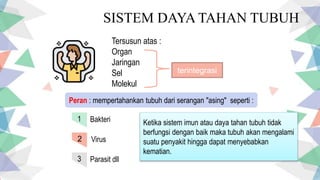 PPT Imunomodulator PAFI.pptx