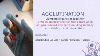 PPT Imunoserologi Golongan Darah A B O.pptx