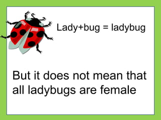 Compound Words | PPT