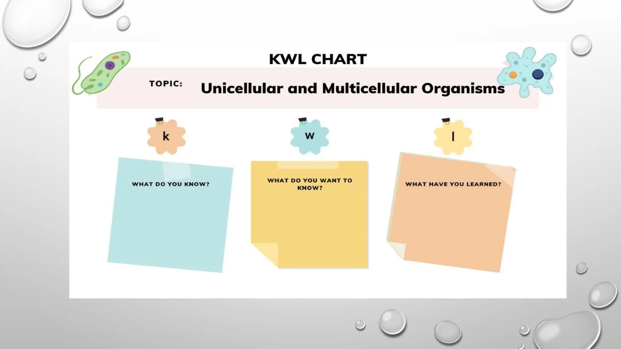 Cells is the basic unit of life. quarter 2pptx | PPTX | Biological ...