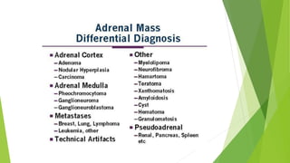 the adrenal incidentaloma | PPTX