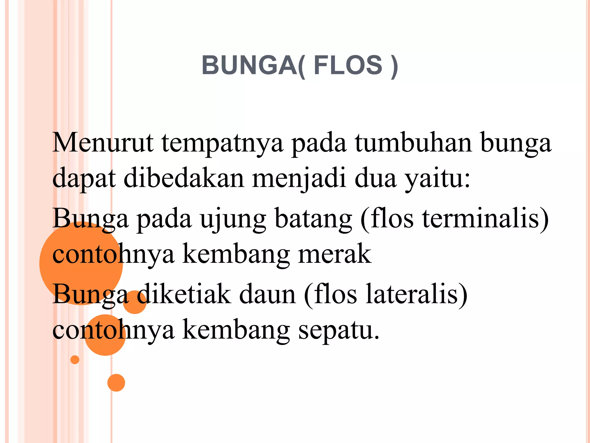 Morfologi bunga, biji, buah | PPTX