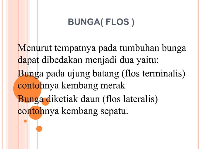Morfologi bunga, biji, buah | PPTX