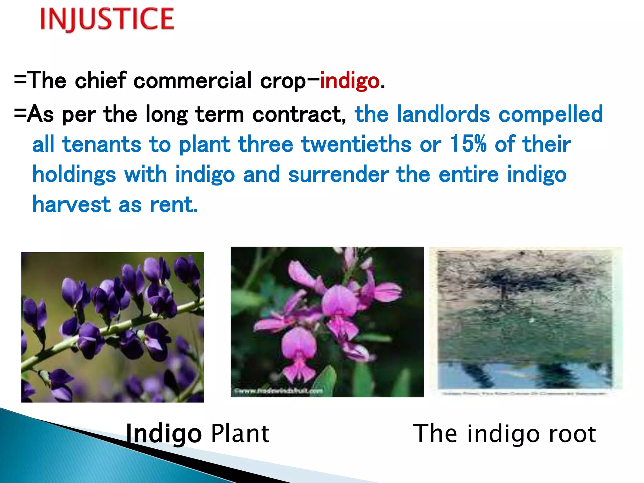 Ppt=indigo==xii part -1 | PPSX