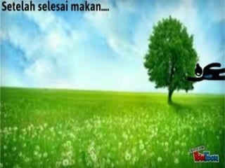 Ppt indo feri | PPT