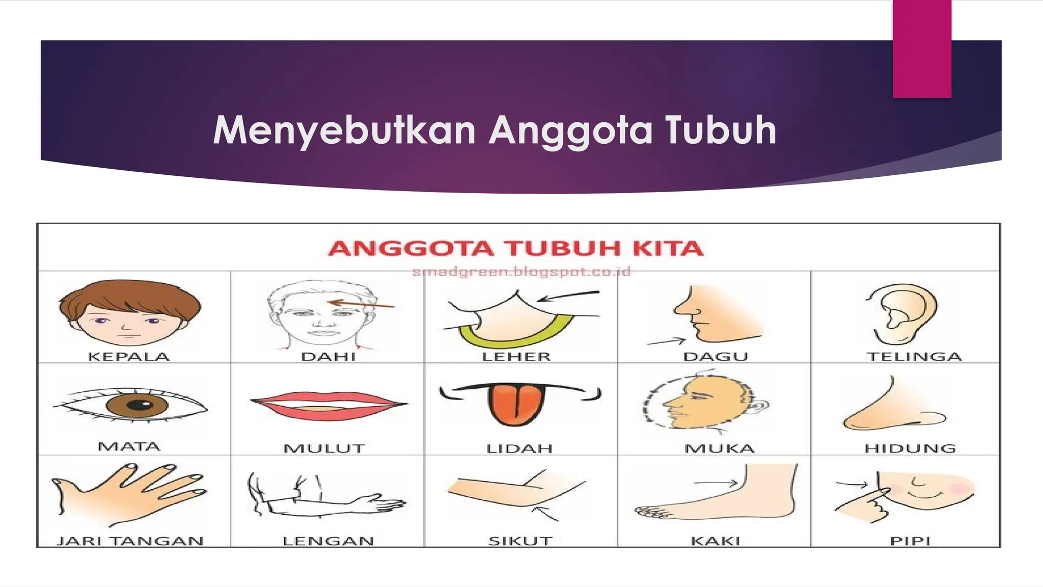 PPT_Indri anggota tubuh renacan mengajar | PPTX