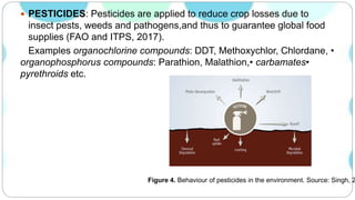 Soil Pollution: A Hidden Reality | PPT