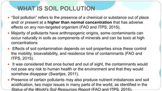 Soil Pollution: A Hidden Reality | PPT