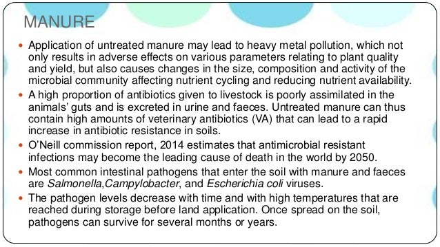 Soil Pollution: A Hidden Reality