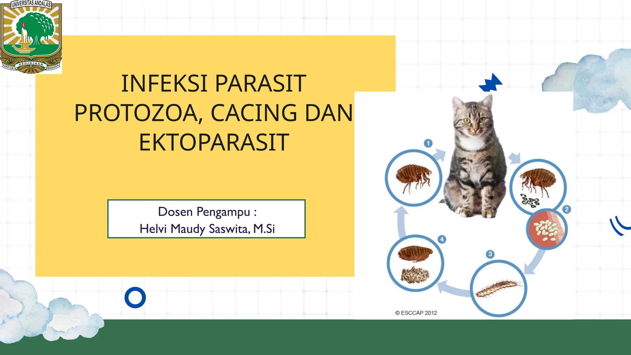 PPT Infeksi Parasit Protozoa, Cacing dan Ektoparasit_Helvi Maudy ...