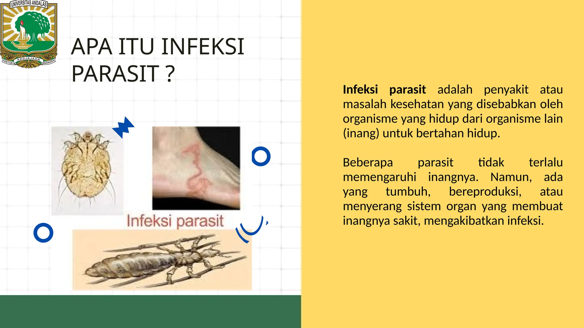 PPT Infeksi Parasit Protozoa, Cacing dan Ektoparasit_Helvi Maudy ...