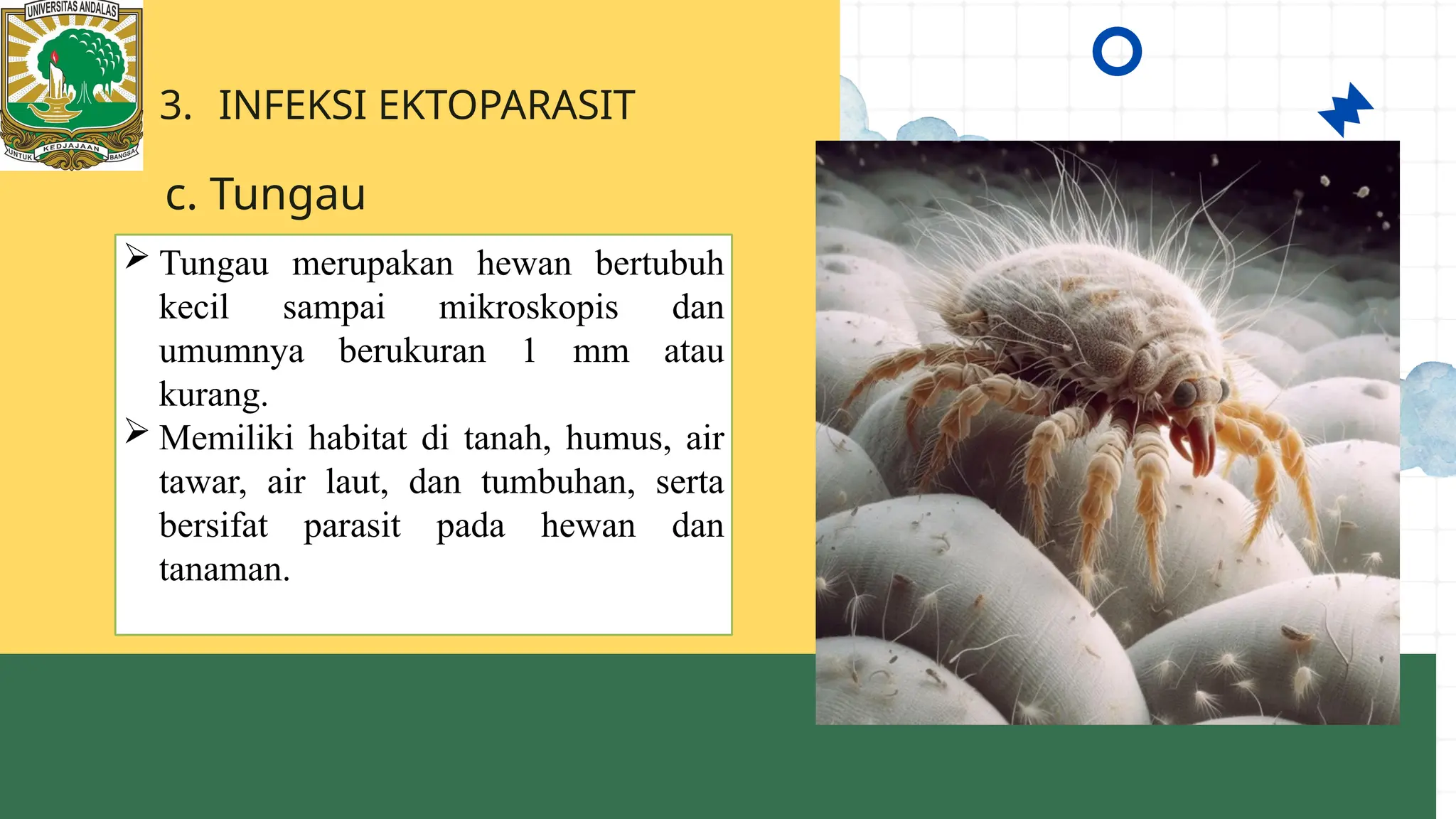 PPT Infeksi Parasit Protozoa, Cacing dan Ektoparasit_Helvi Maudy ...