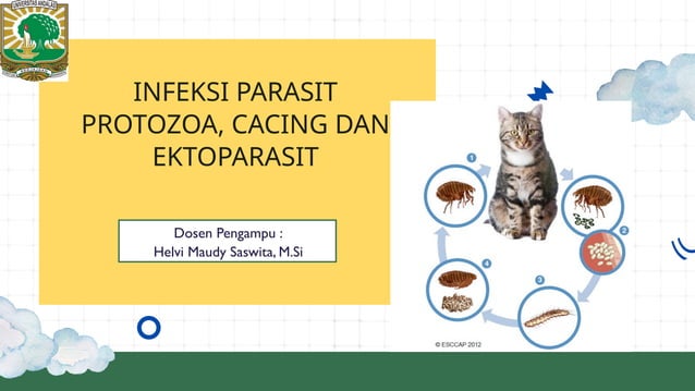 PPT Infeksi Parasit Protozoa, Cacing dan Ektoparasit_Helvi Maudy ...