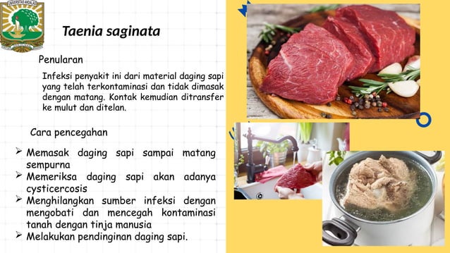 PPT Infeksi Parasit Protozoa, Cacing dan Ektoparasit_Helvi Maudy ...