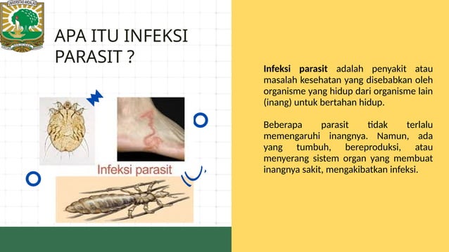 PPT Infeksi Parasit Protozoa, Cacing dan Ektoparasit_Helvi Maudy ...