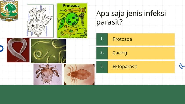 PPT Infeksi Parasit Protozoa, Cacing dan Ektoparasit_Helvi Maudy Saswita.pptx