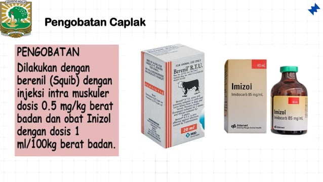 PPT Infeksi Parasit Protozoa, Cacing dan Ektoparasit_Helvi Maudy ...