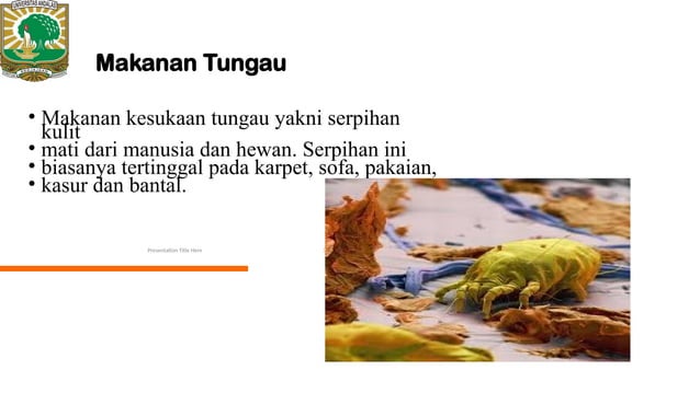 PPT Infeksi Parasit Protozoa, Cacing dan Ektoparasit_Helvi Maudy ...